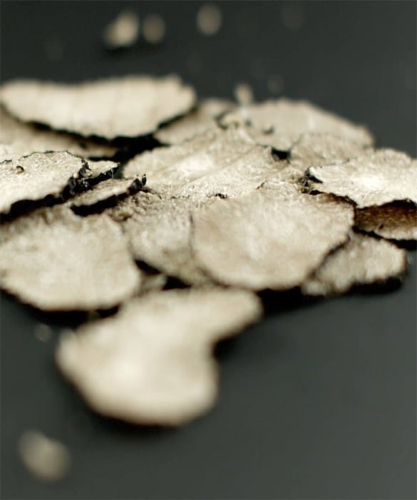 The truffle puts on a show! | FAUCHON Paris